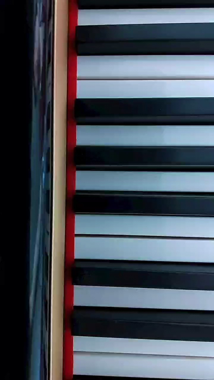 《Silver Scrapes》英雄联盟主题曲，庆祝EDG夺冠！战歌响起！钢琴谱-Tiancc-虫虫钢琴